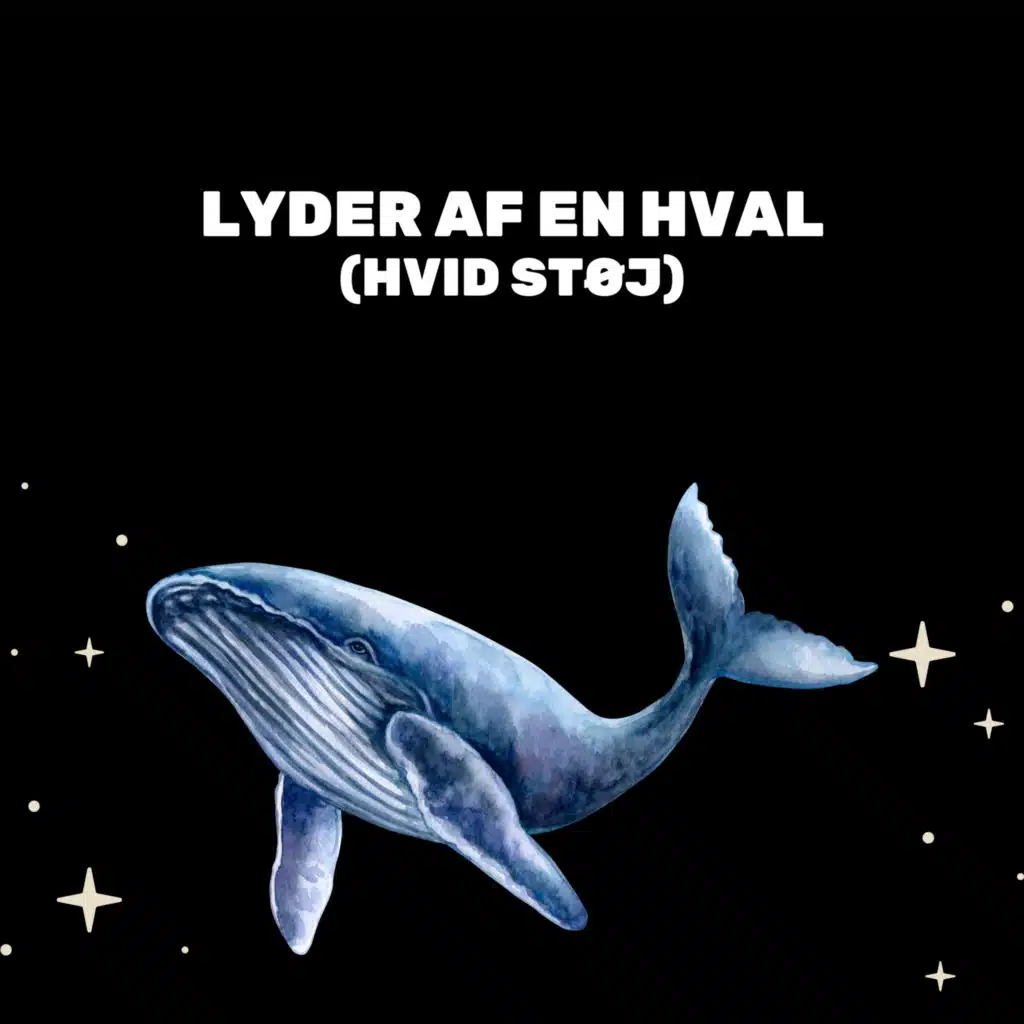 Lyder Af En Hval (Hvid Støj) by Afslappende Medicin, Hvid Støj ...