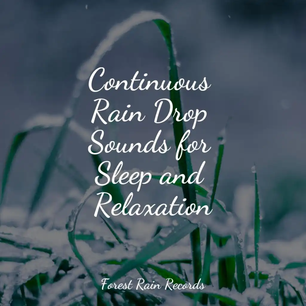 Continuous Rain Drop Sounds For Sleep And Relaxation By Pure Serenity