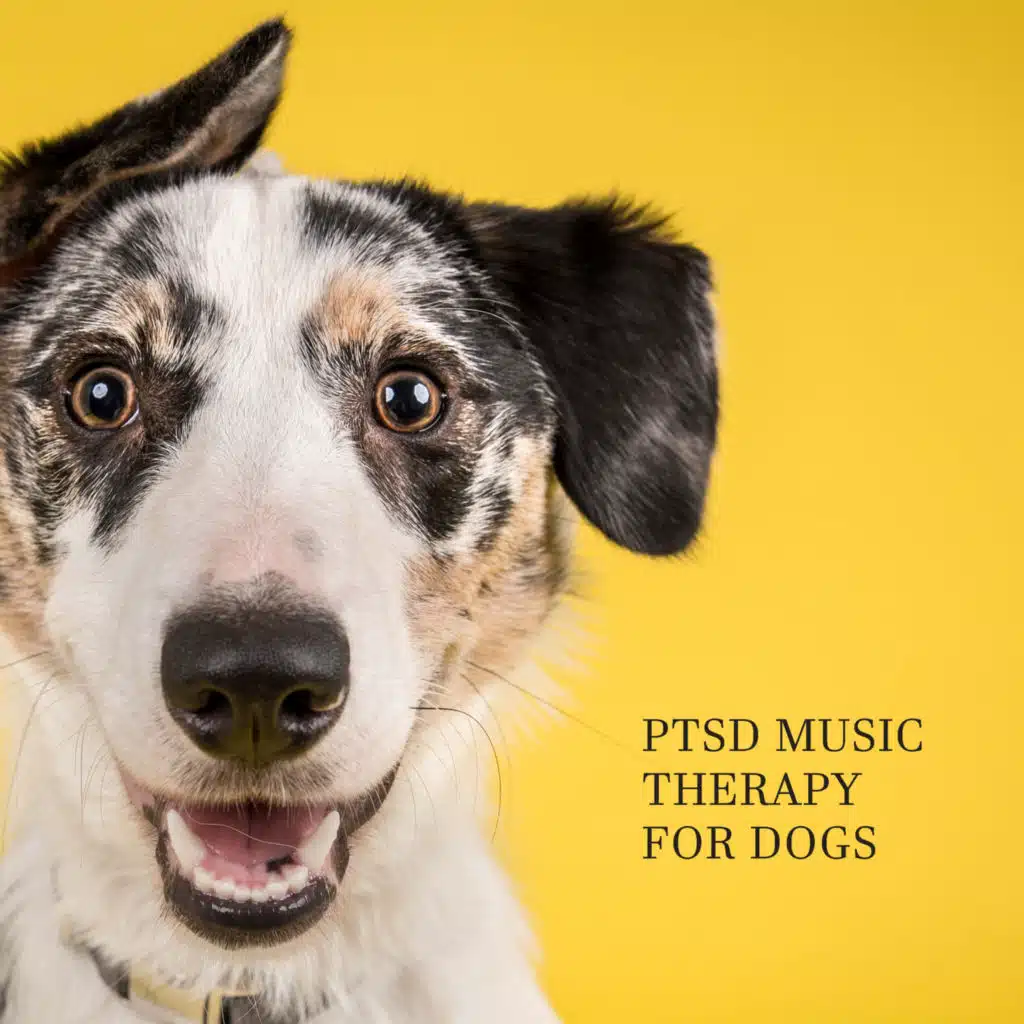 PTSD Music Therapy for Dogs: Trauma Recovery, Relieve Stress & Music ...