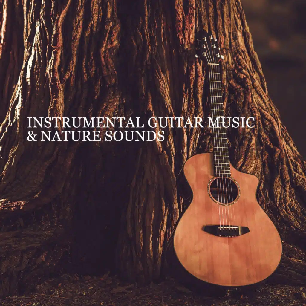 Instrumental Guitar Music & Nature Sounds: Meditation and Relaxation ...