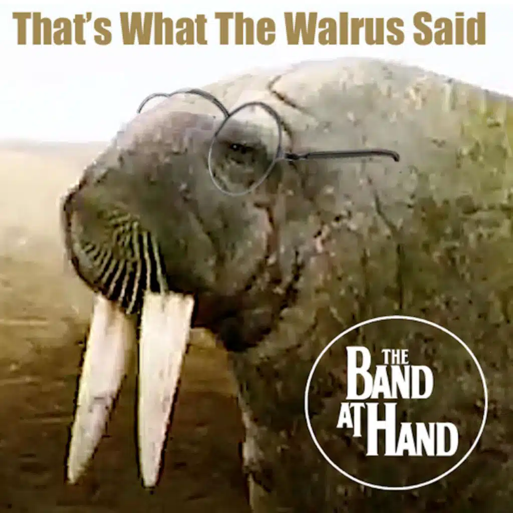 That's What The Walrus Said by The Band at Hand | Play on Anghami