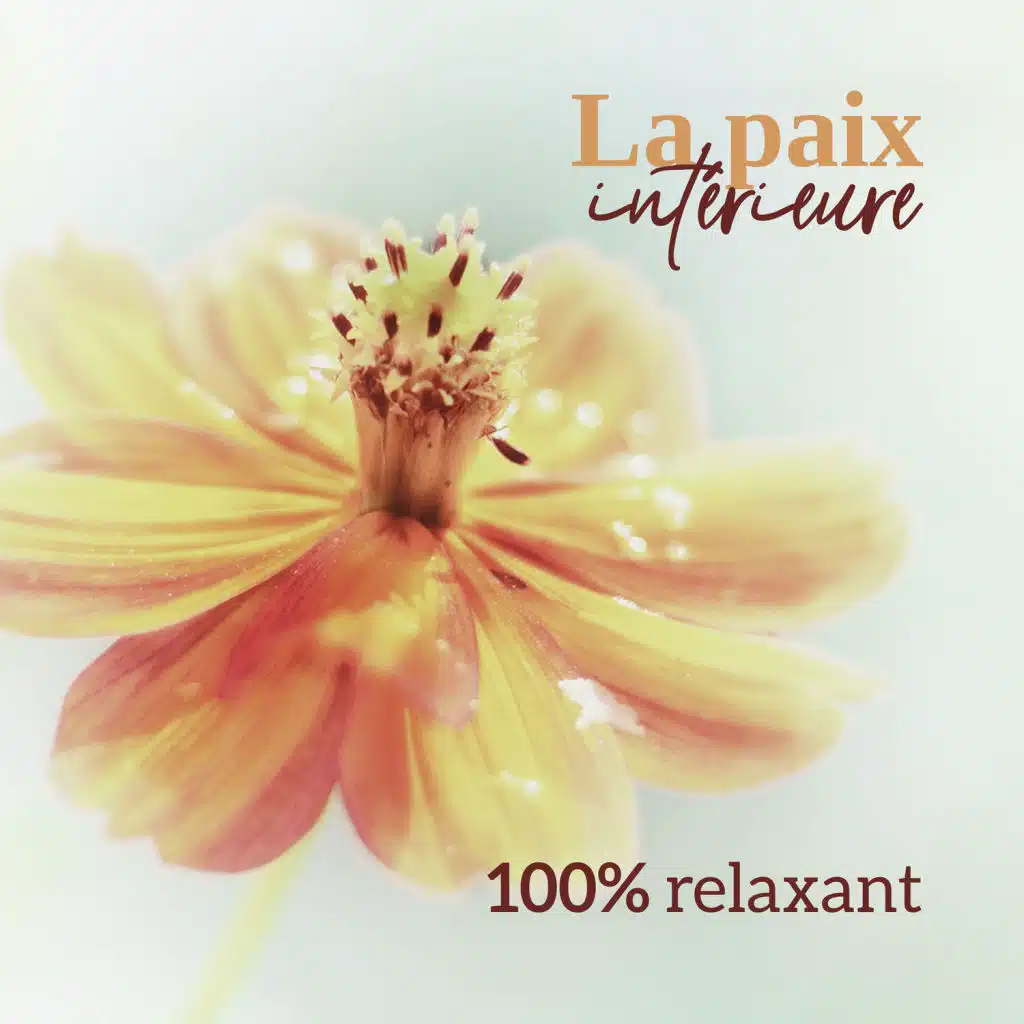 La paix intérieure - 100% relaxant: Flûte apaisante et anti stress ...